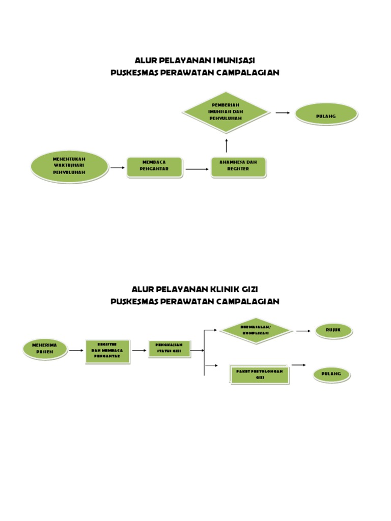 Alur Pelayanan Promosi Kesehatan | PDF