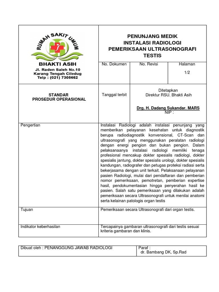 Spo Usg Testis | PDF