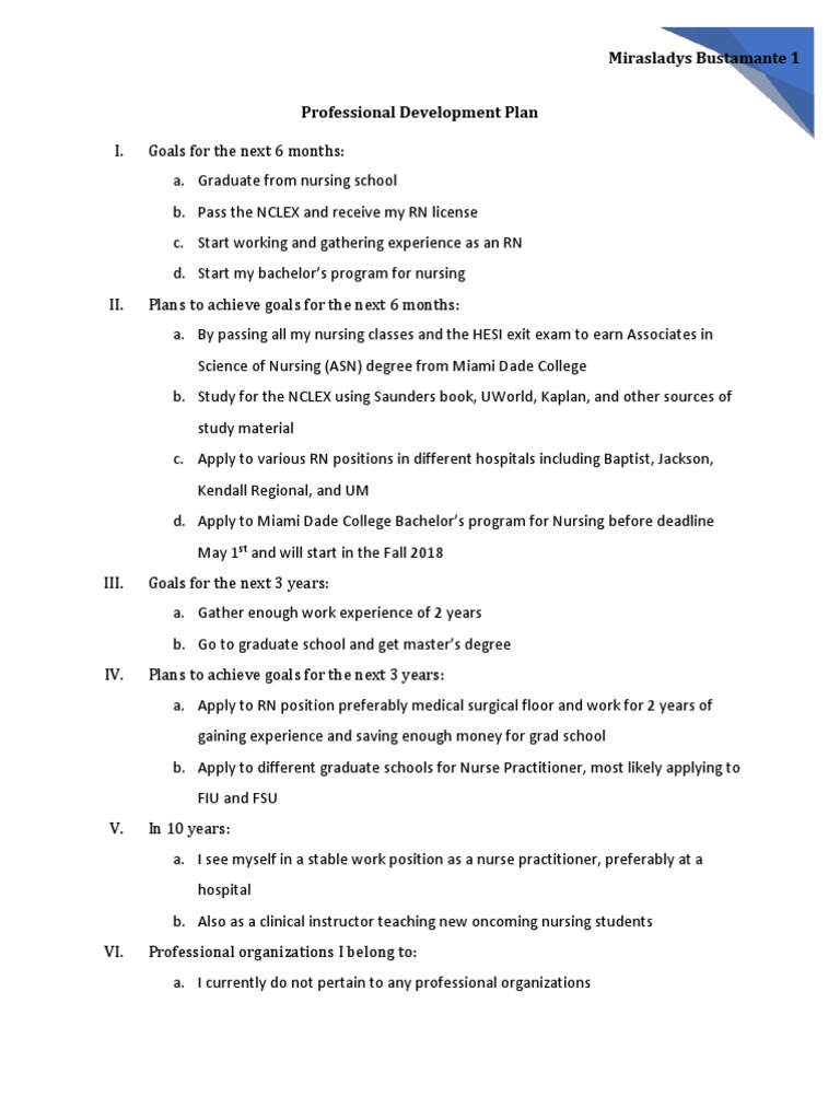 Professional Development Plan | PDF | Nursing | Health Care