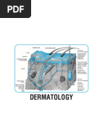Skin Diseases Presentation2 | PDF | Dermatitis | Cutaneous Conditions