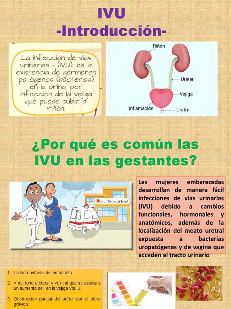 Ivu | Infección del tracto urinario | Sistema urinario | Prueba ...