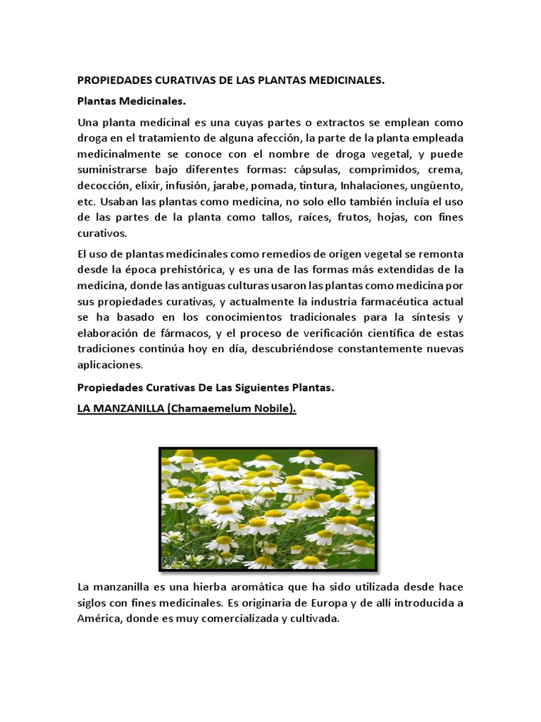 Propiedades Curativas de Las Plantas Medicinales | PDF | Plantas ...
