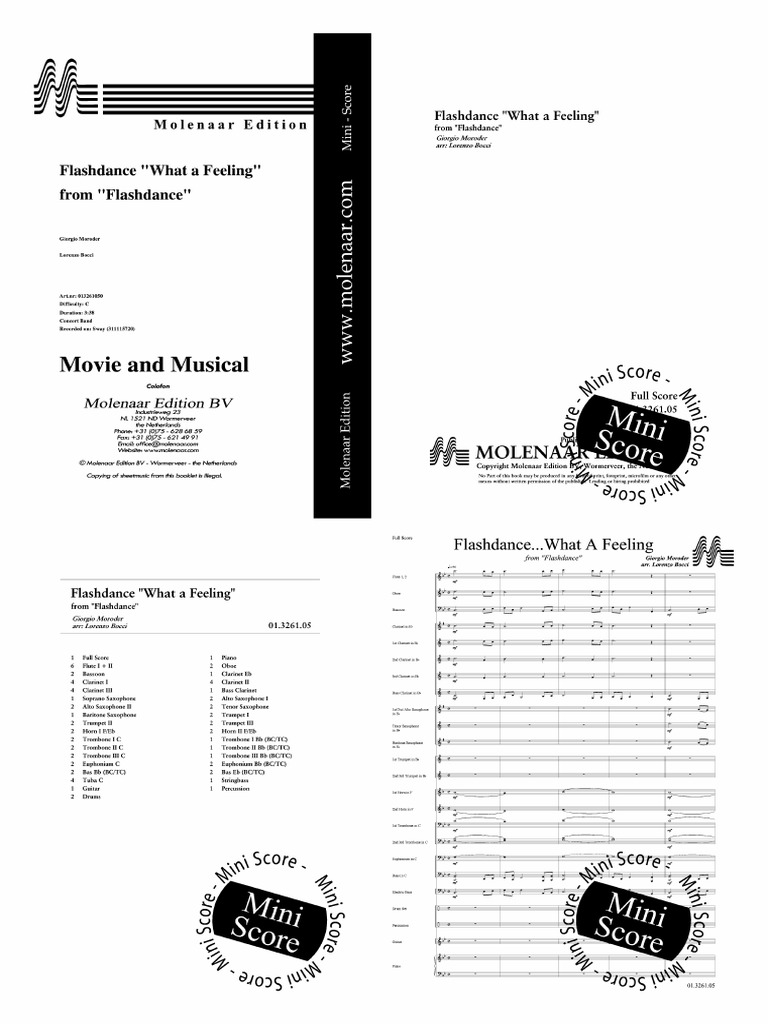 Flash Dance PDF | PDF | Classical Music | Aerophones