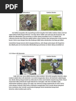 Gun Bellani | PDF | Sains & Matematika