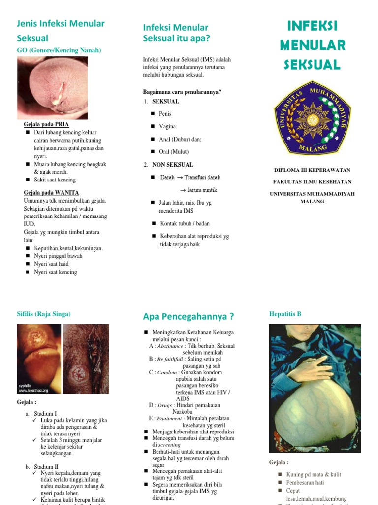 Leaflet IMS | PDF