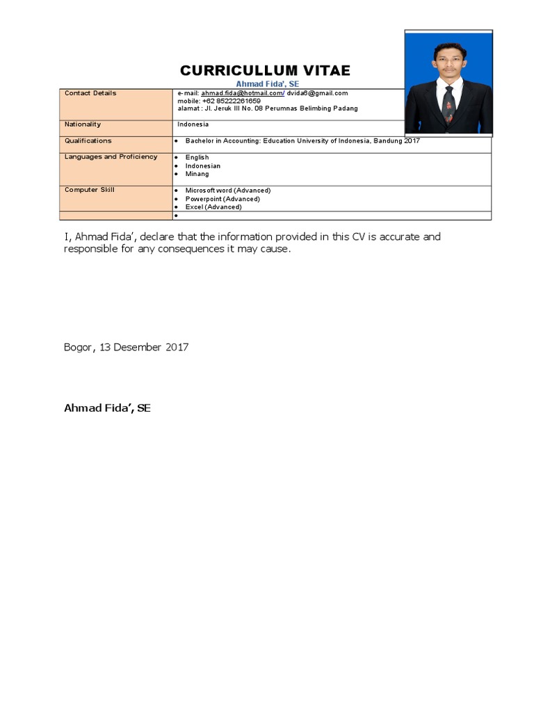 CV Templet | PDF