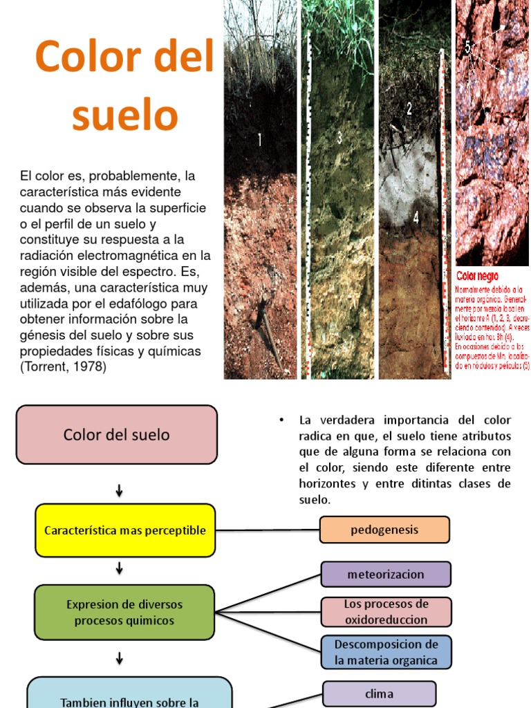 Color Del Suelo | PDF | Color | Meteorización