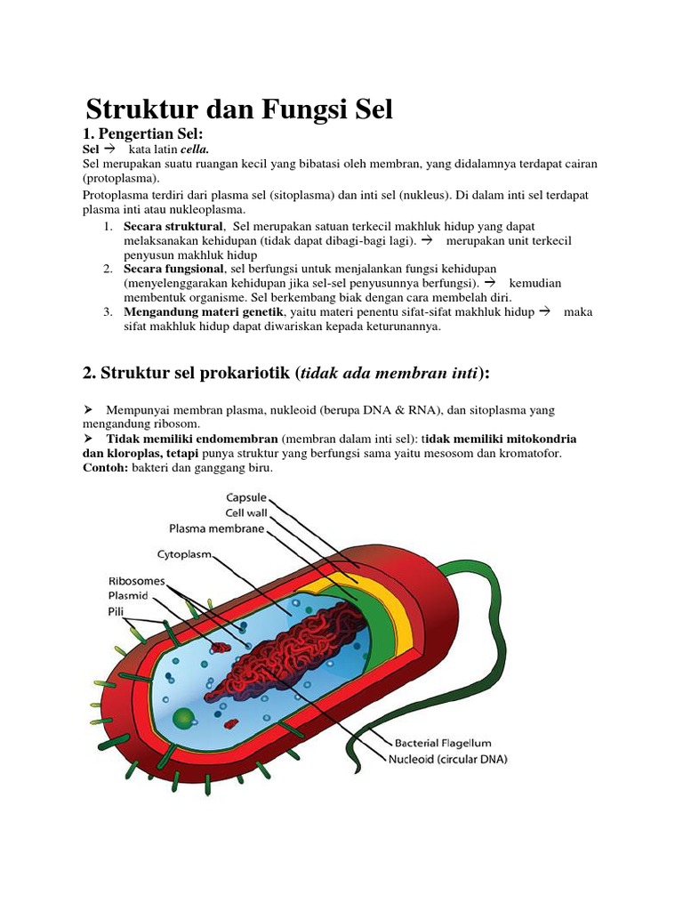 Struktur Dan Fungsi Sel | PDF