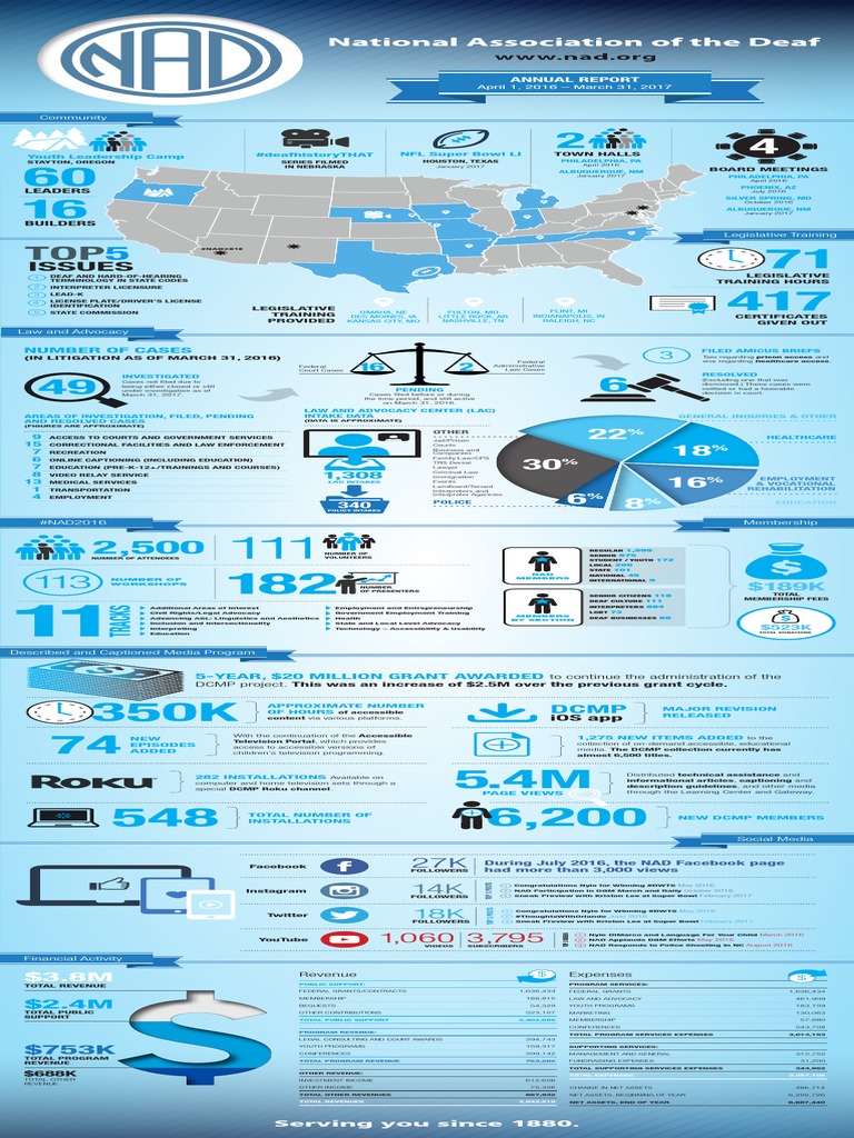 NAD 2017 Infographic Poster | PDF | Revenue | Facebook