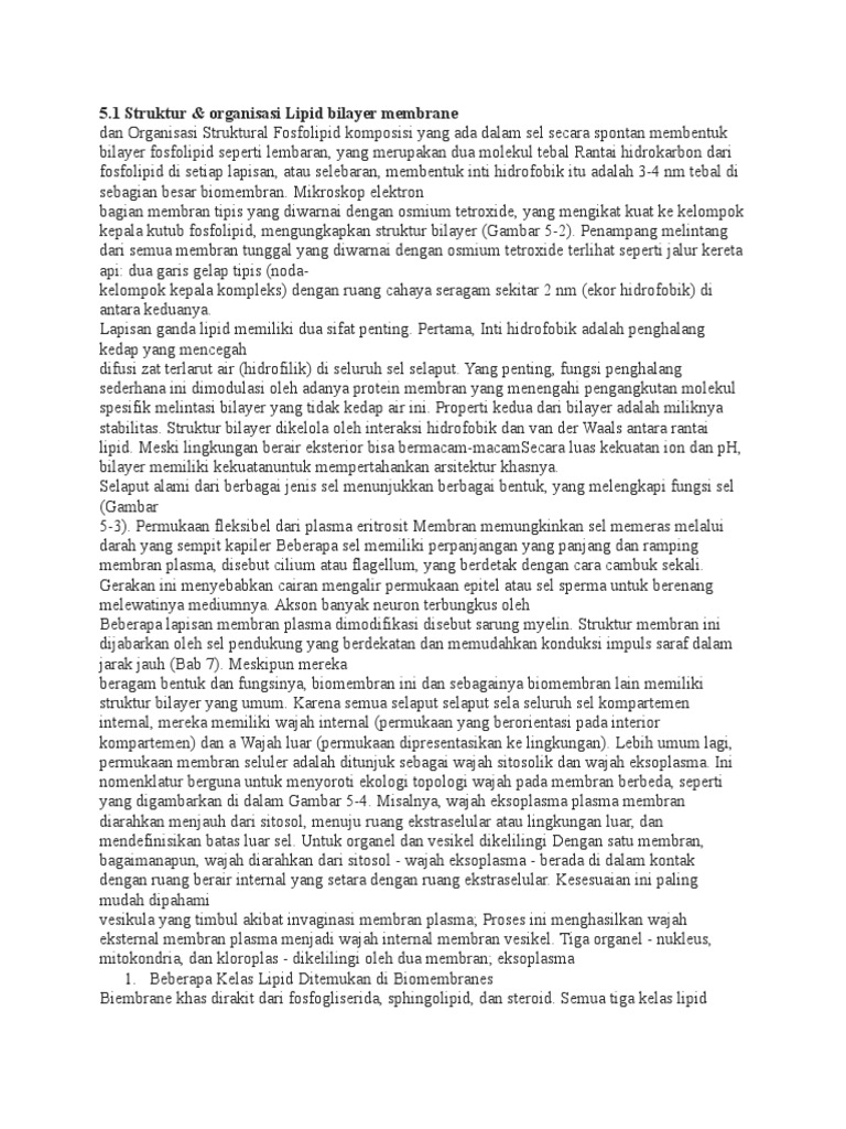 Struktur Lipid Bilayer Membran Sel | PDF | Kesehatan Holistik | Sains ...