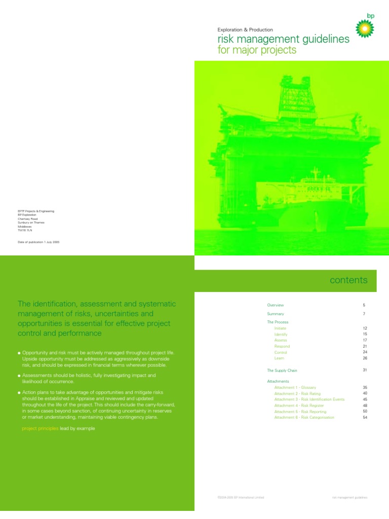 Risk Management Guidelines | PDF | Risk Management | Risk Assessment