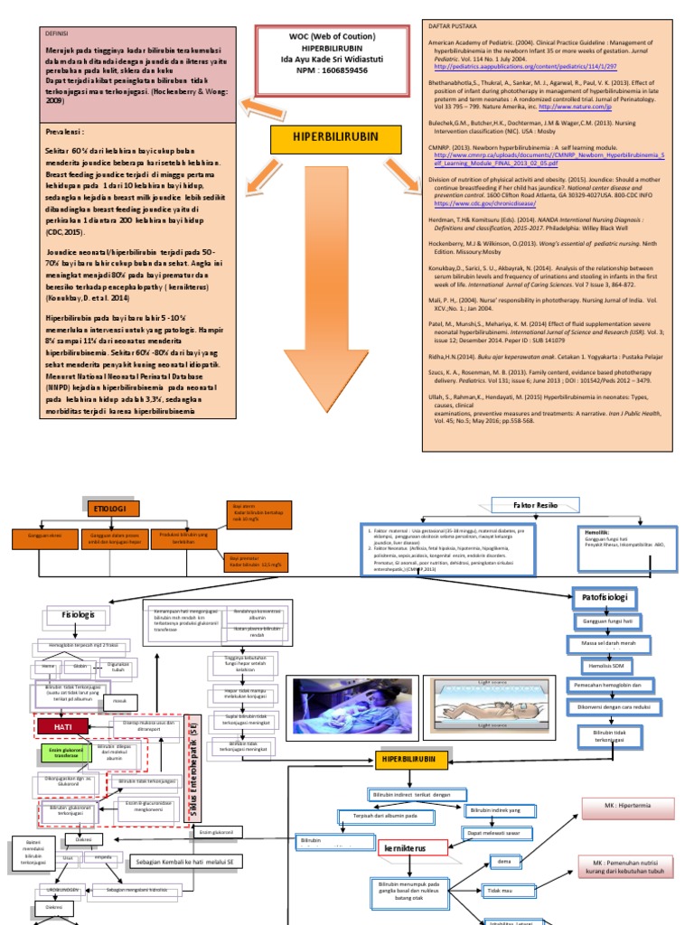 Woc Hiprebilirubin - Ida Ayu Kade Widiastuti | PDF Woc Hiprebilirubin - Ida Ayu Kade Widiastuti | PDF