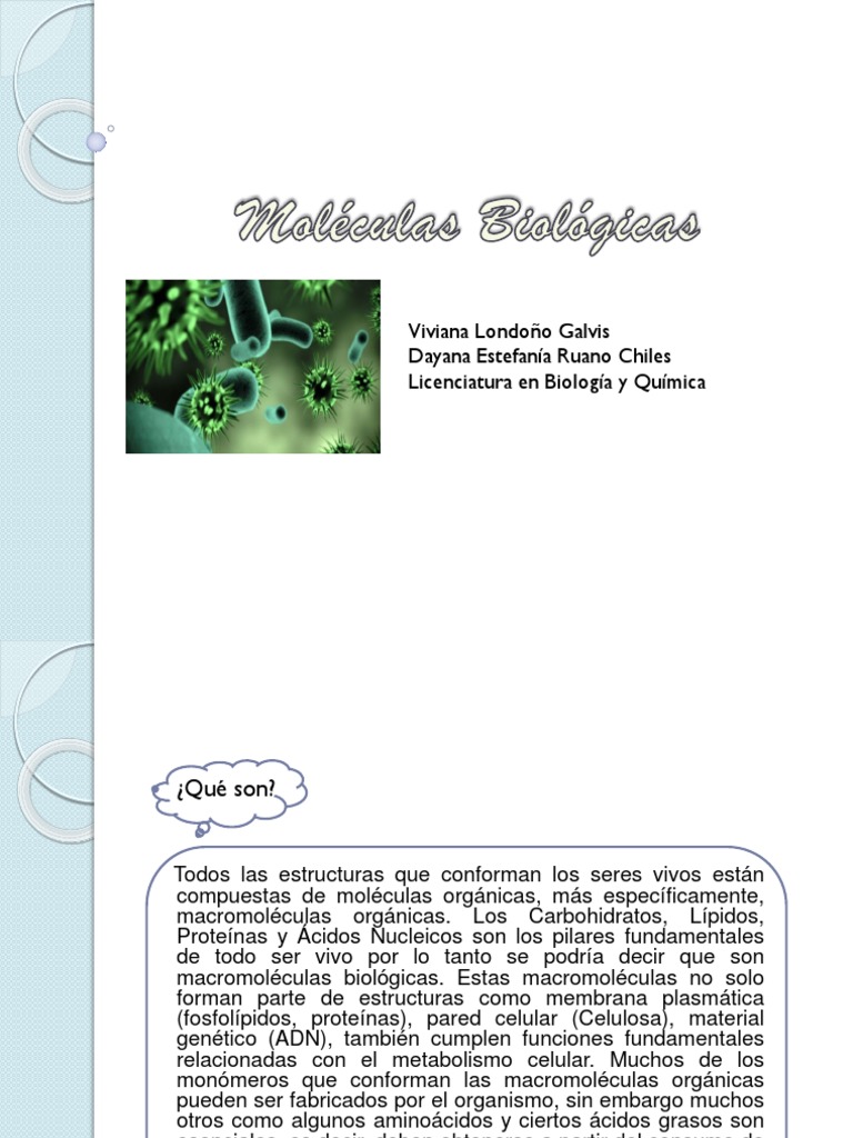 Tipos de Moléculas Biológicas | PDF | Compuestos orgánicos | Proteínas