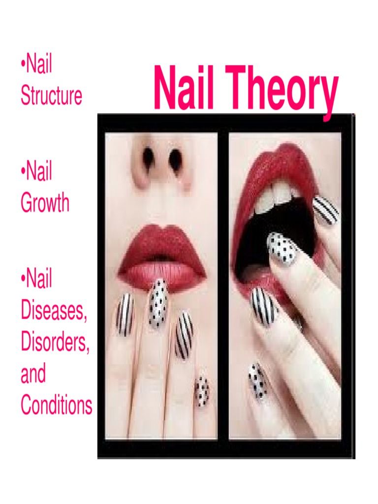 Nail Theory Ppt | Nail (Anatomy) | Integumentary System