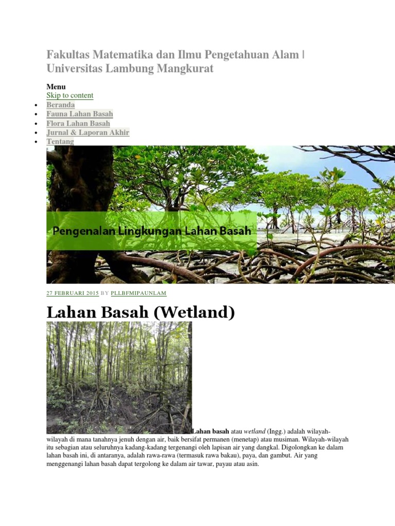 Suksesi Lahan Basah | PDF