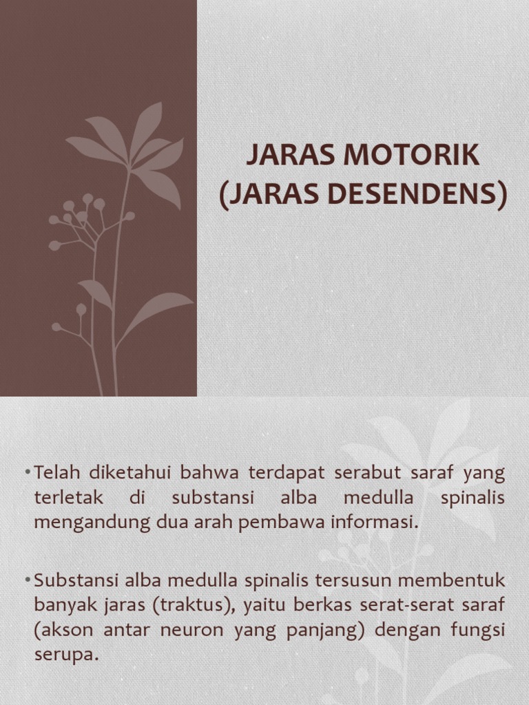 Jaras Motorik | PDF