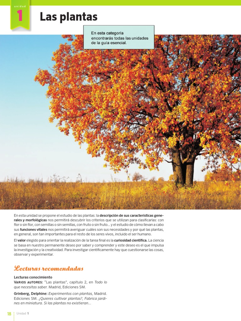 Ciencias Naturales: Tema LAS PLANTAS | PDF | Plantas | Reproducción