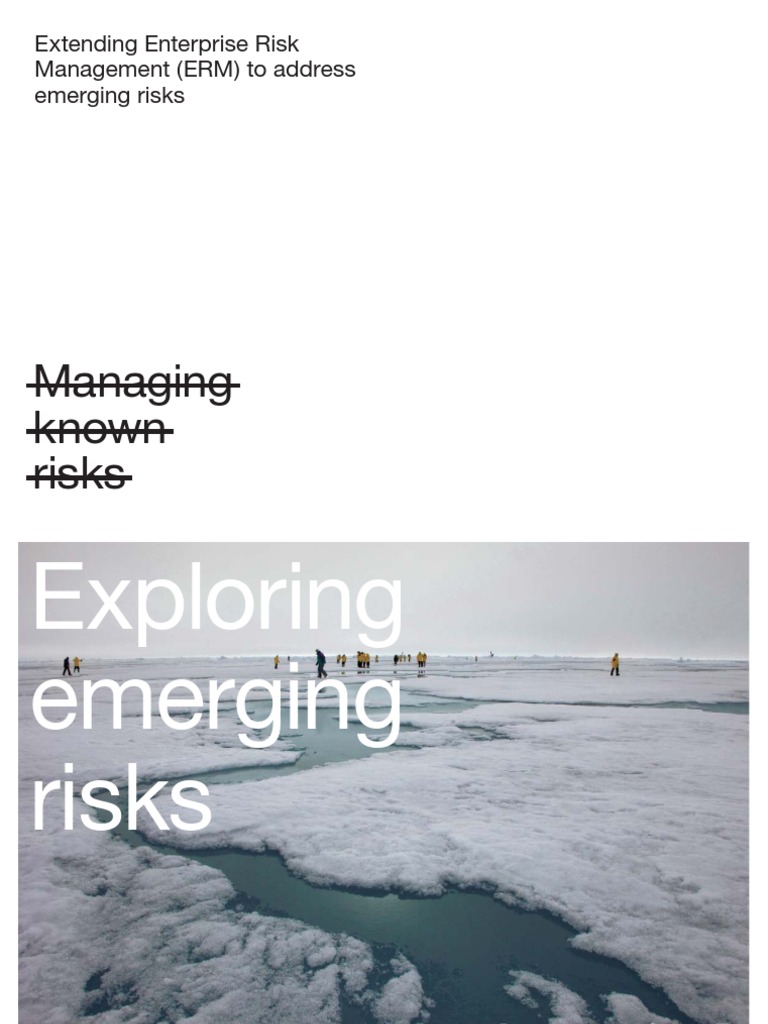 PWC Global Risks ERM | PDF | Enterprise Risk Management | Risk