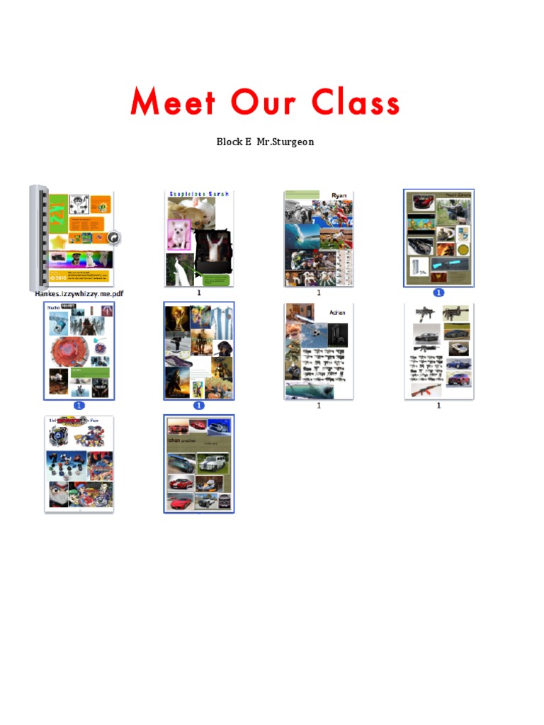 Meet Our Class: Student Introductions | PDF