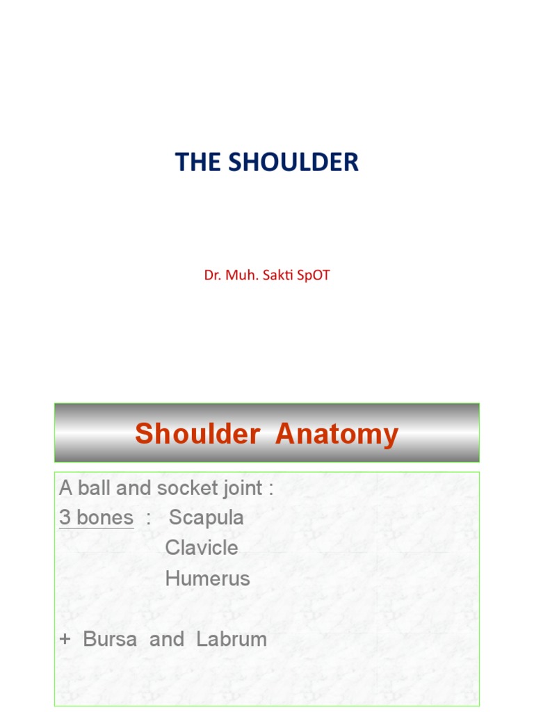 The Shoulder | PDF | Shoulder | Soft Tissue