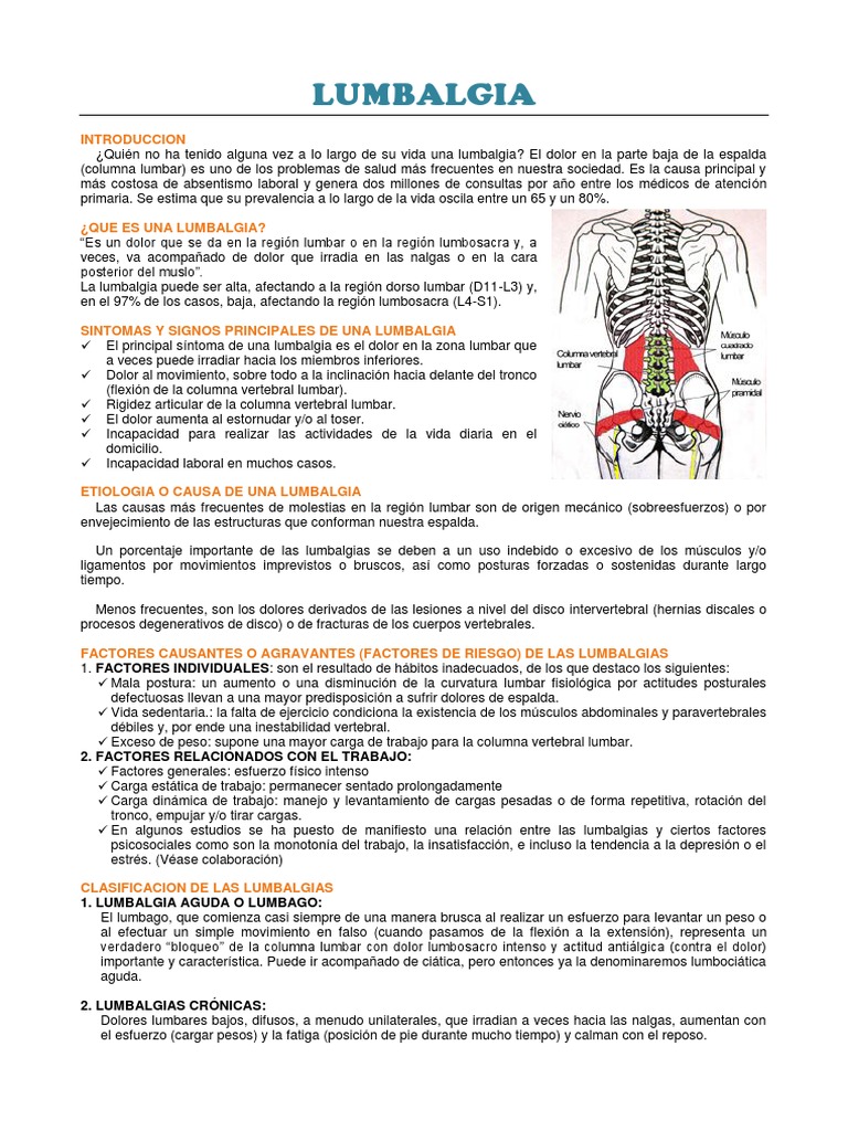 Causas y tipos de lumbalgia | PDF | Dolor lumbar | Sistema nervioso