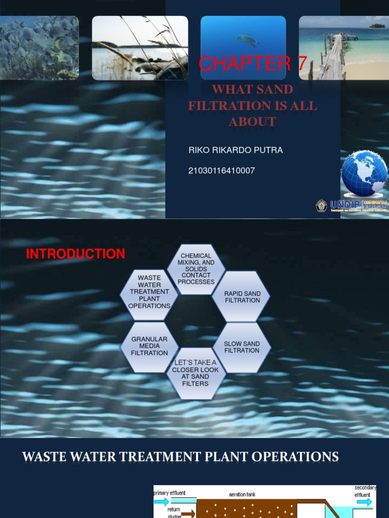 The Contoso Corporation | PDF