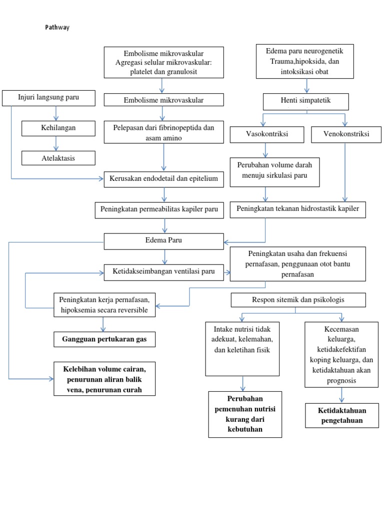 Pathway ARDS | PDF