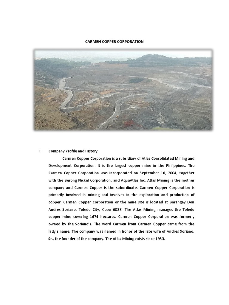 Carmen Copper Corporation | PDF | Mining | Mill (Grinding)