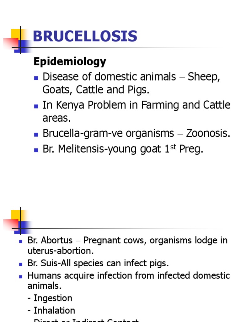 Brucellosis | PDF | Medical Specialties | Clinical Medicine