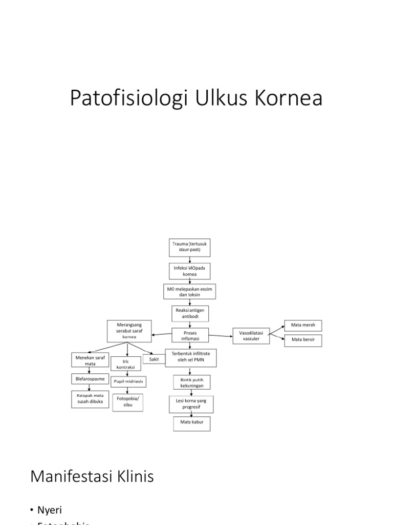 Patofisiologi Ulkus Kornea | PDF