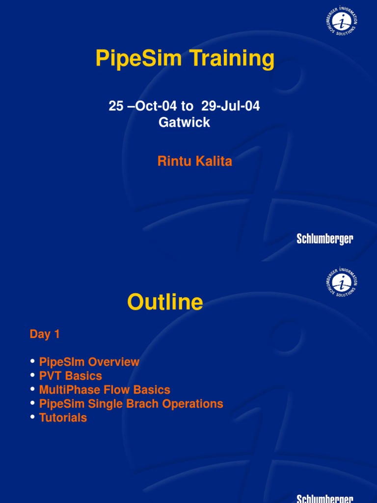 PipeSim Training Overview and Exercises | PDF
