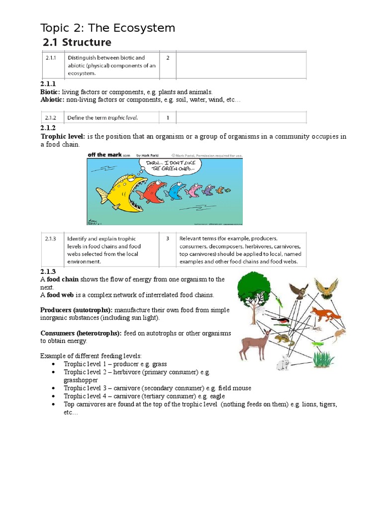 Topic 2 Ecosystem Notes | PDF | Primary Production | Ecosystem
