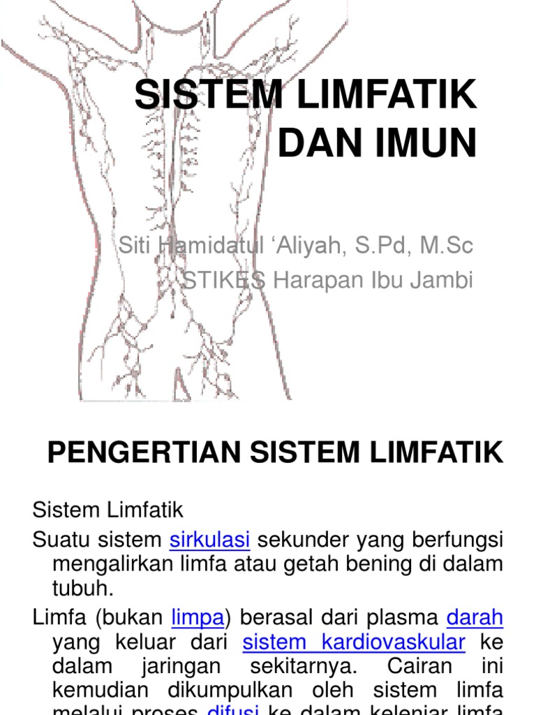 Sistem Limfa dan Imun Mengatur Pertahanan Tubuh | PDF | Immune System ...