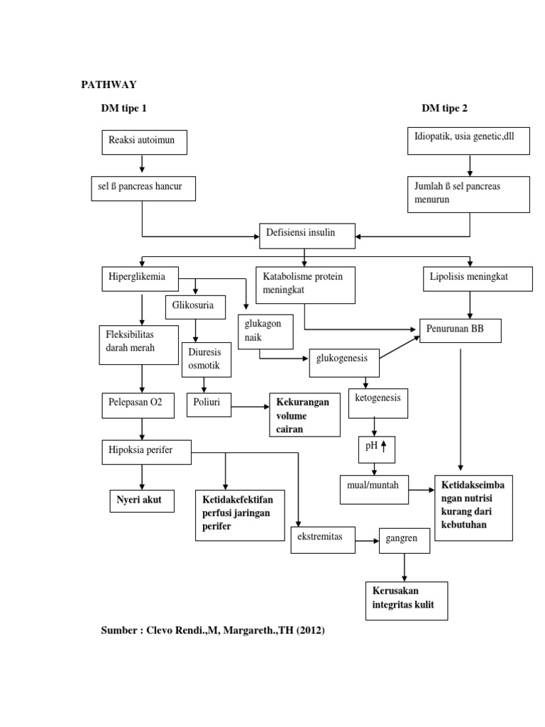 Pathway Diabetes Melitus | PDF