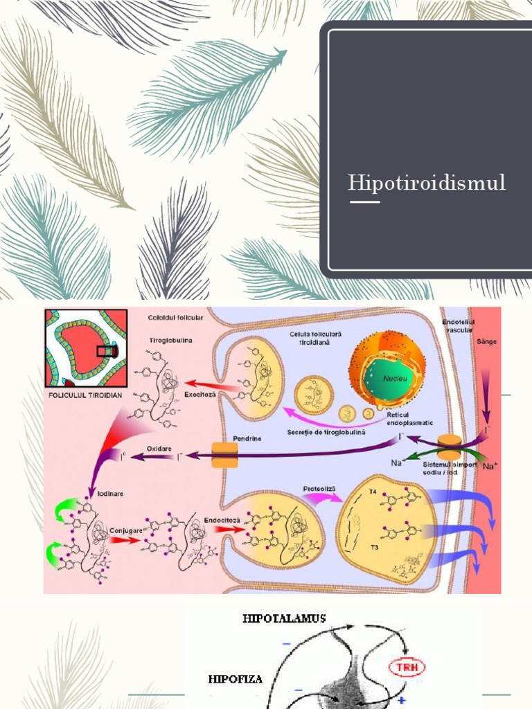 Hipotiroidismul | PDF