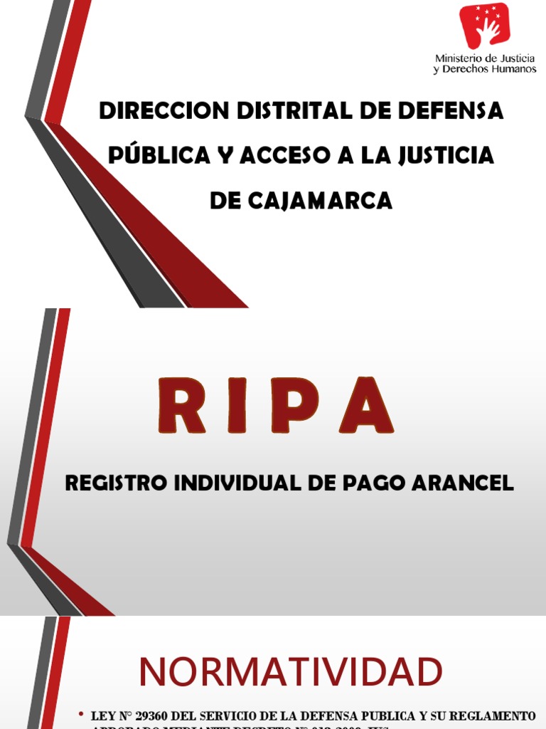 RIPA | PDF | Gobierno | Justicia