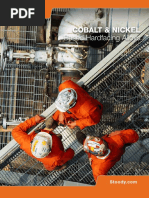 BMW GS 90010-1 2020-01 EN (Metallic Coatings and Inorganic Coating ...