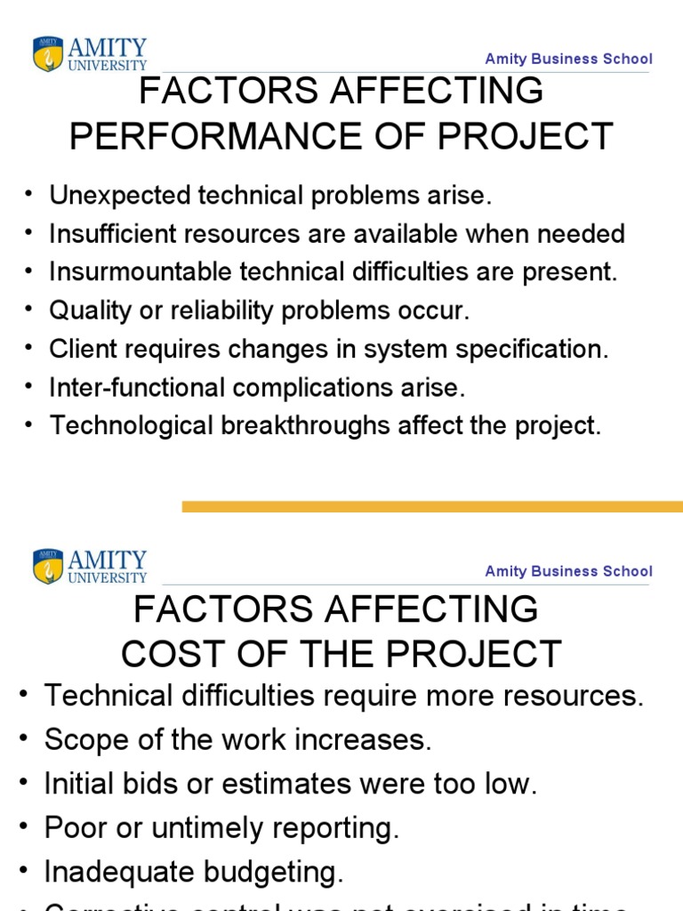 Factors Affecting Performance of Project: Amity Business School | PDF ...