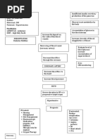 Pathophysiology of HCVD, DM2, CVD (Left Basal Ganglia) | PDF | Blood Vessel | Medicine