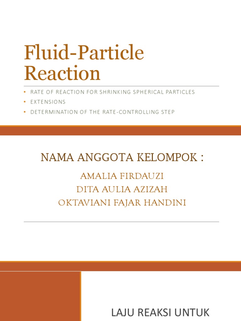 Fluid-Particle Reaction | PDF