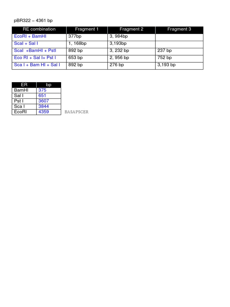 CMB Lab - Expt 8 | PDF | Molecular Biology | Chemical Kinetics