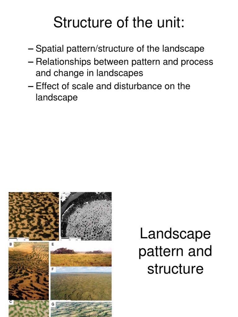 Landscape Structure and Patterns Analysis | PDF | Landscape ...