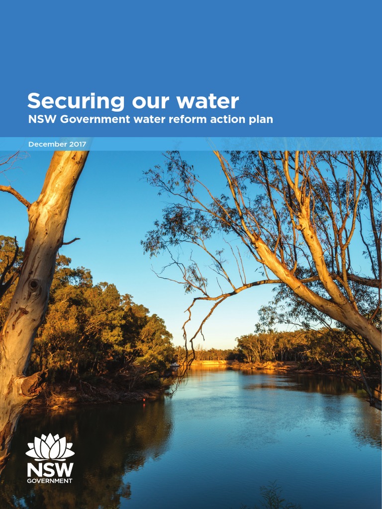 NSW Government Water Reform Action Plan | PDF | Water Security | Water ...