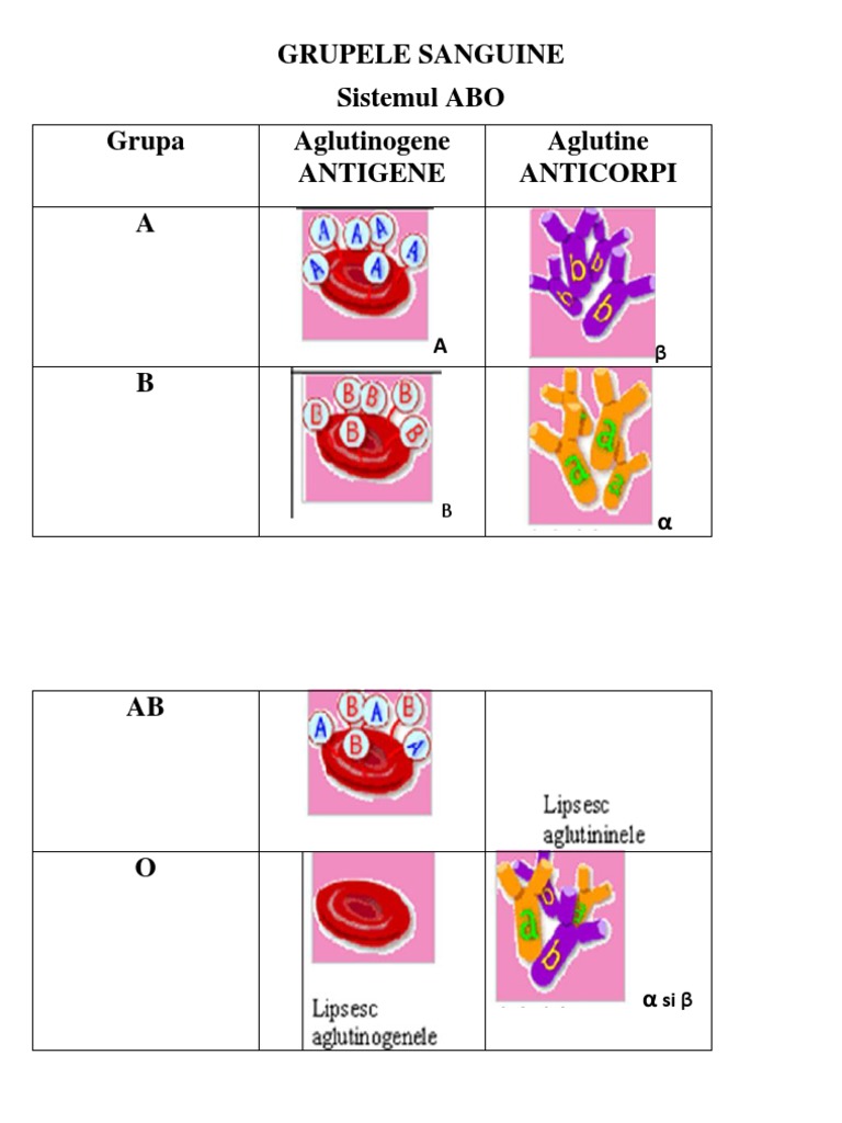 Grupe Sanguine | PDF