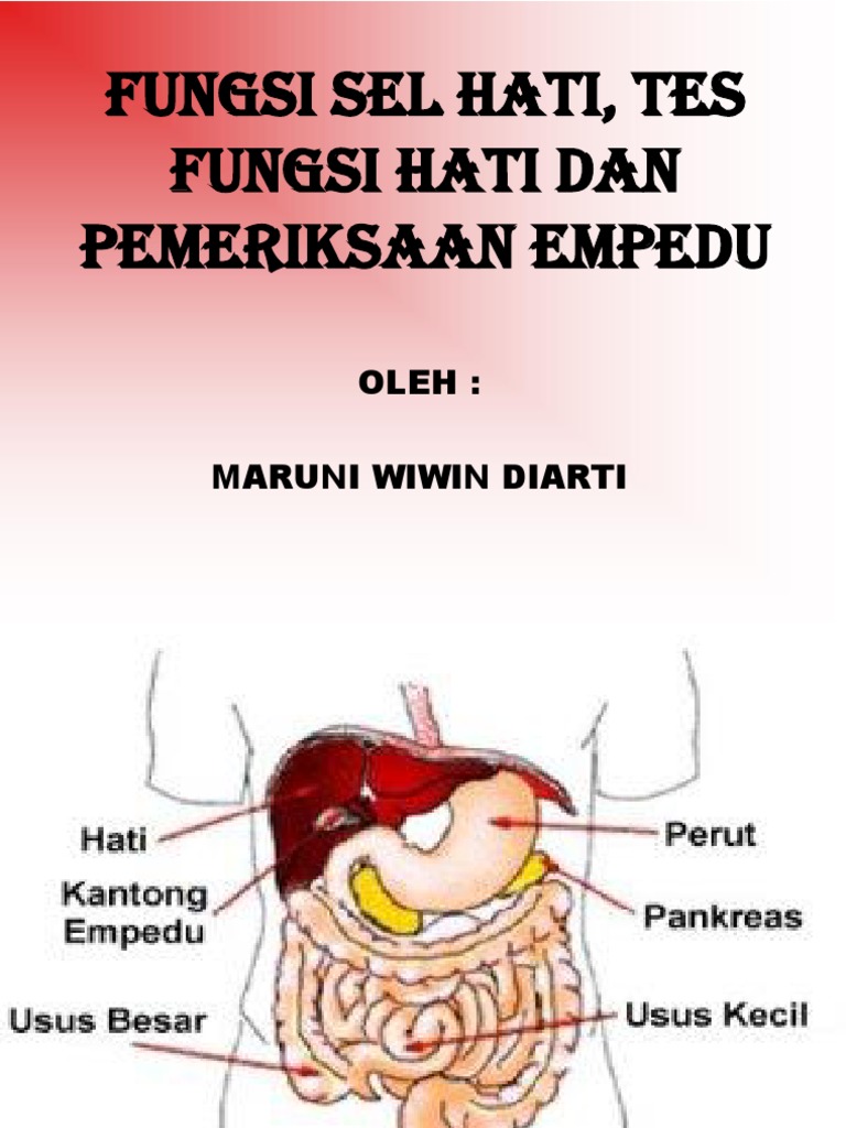 Fungsi Sel Hati | PDF