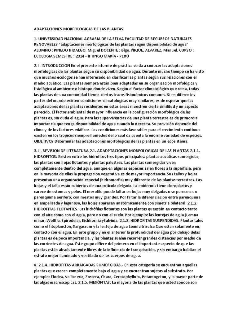 Adaptaciones Morfologicas de Las Plantas | PDF | Plantas | Hoja