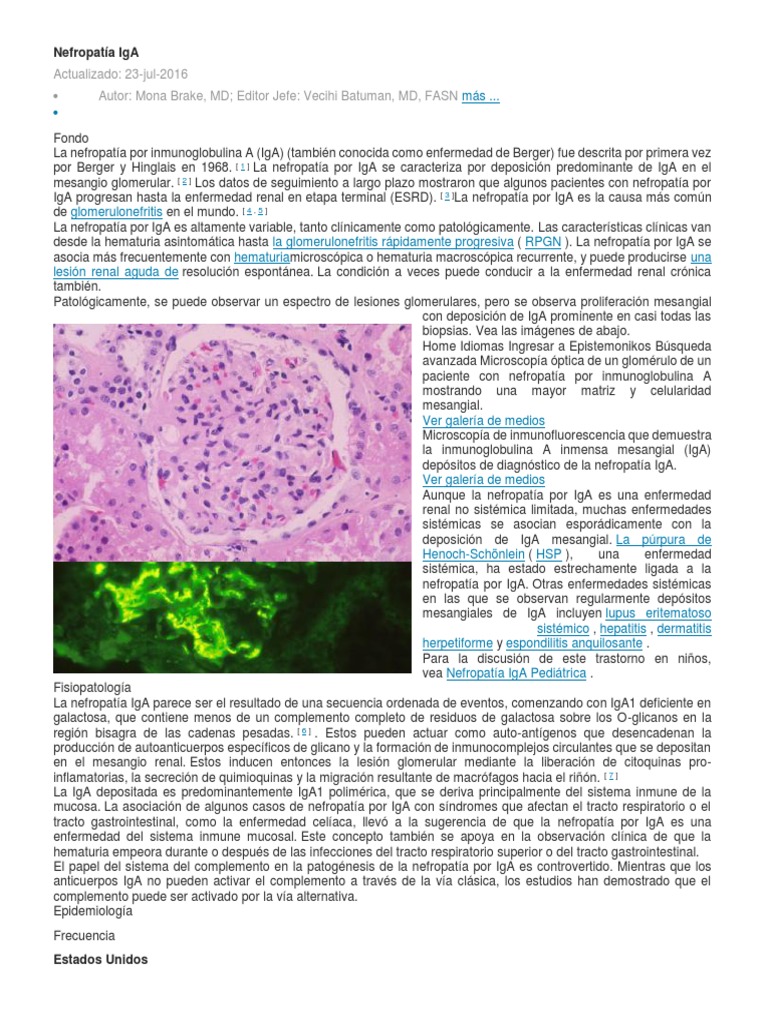 Nefropatía IgA | PDF | Nefrología | Inmunología