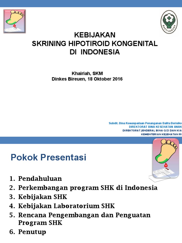 Kebijakan Nasional SHK | PDF