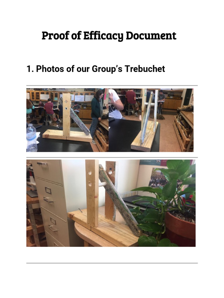 Proof of Efficacy Document | Download Free PDF | Projectiles | Force