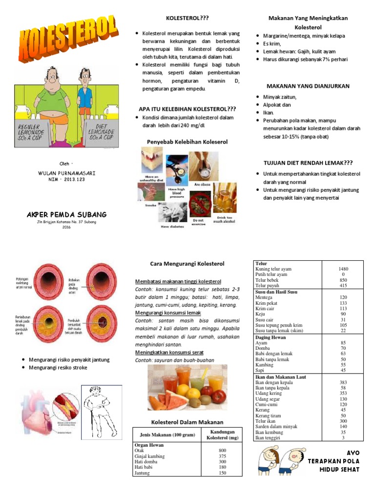 Leaflet Kolesterol | PDF